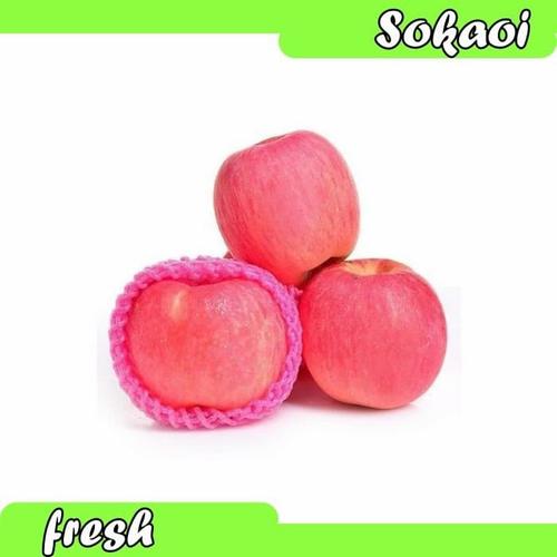 Jual APEL FUJI BUAH APEL BUAH SEGAR BUAH BUAHAN 500 gr - Kota Denpasar ...
