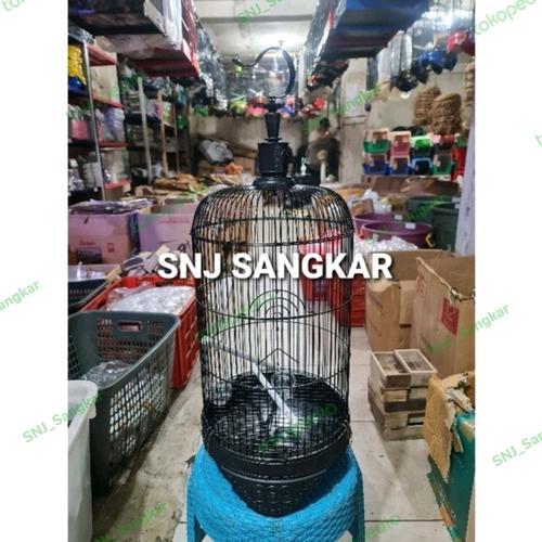 Jual sangkar pleci besi import Kandang Pleci Kolibri Burcil Burung ...