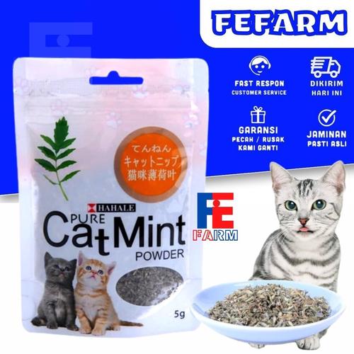 Jual Catnip catmint cat mint - PURE CATMINT POWDER - BIKIN FLY KUCING ...