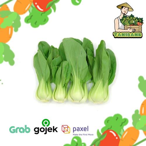 Jual PAKCOY /SAYUR PAKCHOY/SAYUR SEGAR BOK CHOY /500GR - Jakarta Utara ...