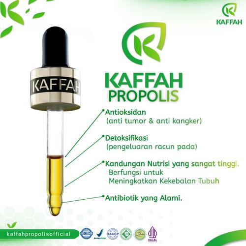 Jual Propolis Kaffah tinggi Flavonoid isi 10ml - Kaffah propolis official - Kota Makassar ...