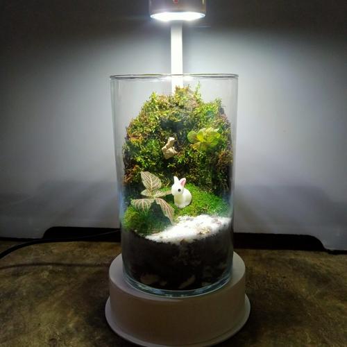 Jual mini hills terrarium| closed terrarium| kado unik|special gift ...