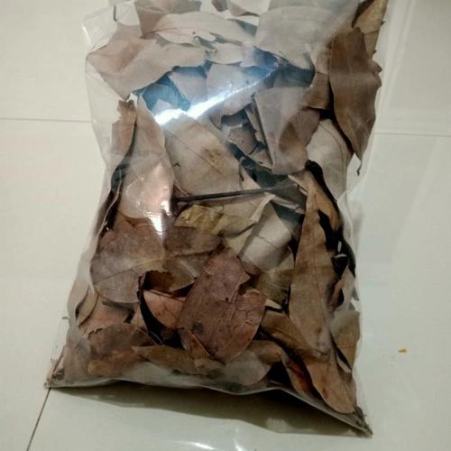 Jual Jual Daun kayumanis kering,daun herbal kaya manfaat 100 gram ...