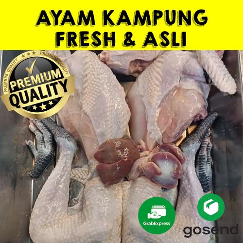 Jual ayam kampung fresh baru potong ASLI - Jakarta Barat - ayam kuning ...