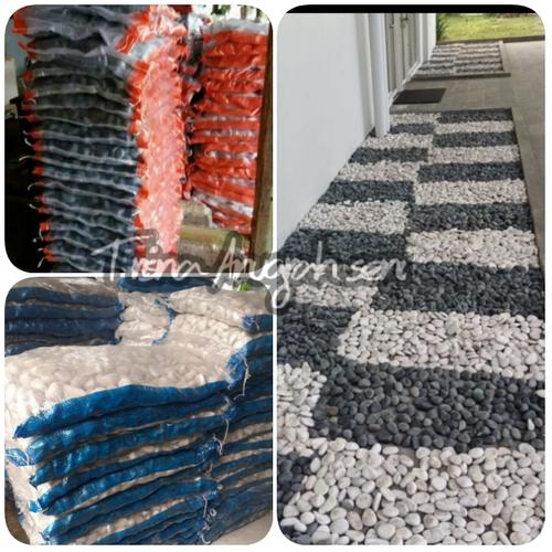 Jual batu koraal putih kupang buat dekorasi taman dan aqua rium - PUTIH S - Jakarta Utara ...