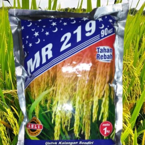 Jual Benih Padi MR 219 bibit padi mr219 - Kab. Bojonegoro - AGROBISTORE ...
