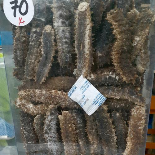 Jual TERIPANG DURI GRADE 1 KERING 1KG 50EA - HAISOM SEA CUCUMBER ...