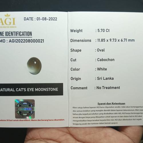Jual LOSETONE WHITE CAT'S EYE MOONSTONE OVAL + MEMO LAB ASLI NATURAL ...