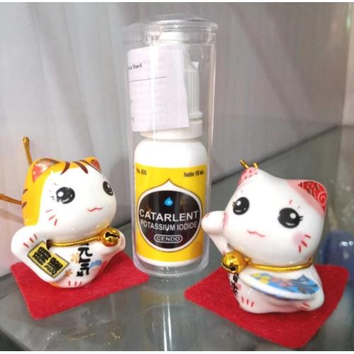 Jual CENDO CATARLENT ED (Eye Drops) 15mL - Tetes Mata Steril - Jakarta ...
