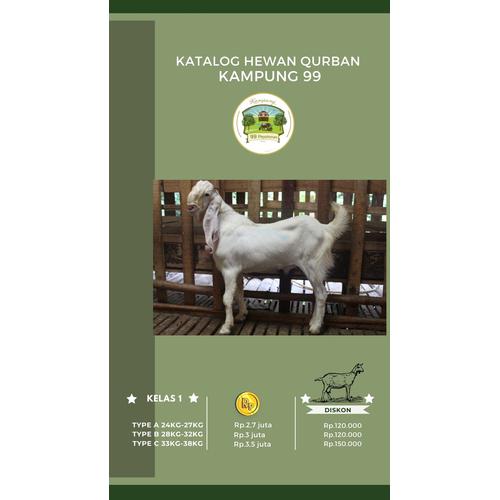 Jual hewan qurban kambing type 1A (24-27kg) - Kota Depok - Peternakan99 | Tokopedia