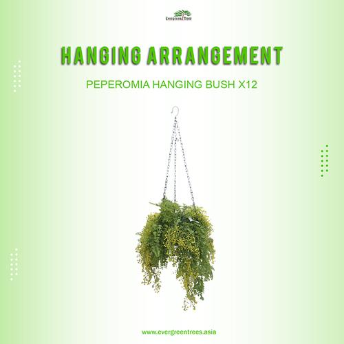 Promo RANGKAIAN GANTUNG/ ARTIFICIAL PLANTS/ RANGKAIAN ARRANGEMENT/ BABY ...