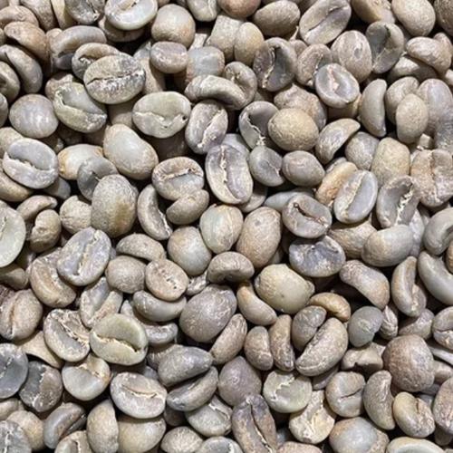 Jual Ecuador EL Dorado 2023 Wush Wush Green Beans - Jakarta Barat ...