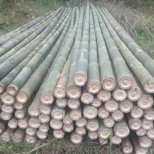 Jual Bambu tiang ukuran 10-12cm - Kab. Bogor - cvjaya mandiri abadi ...
