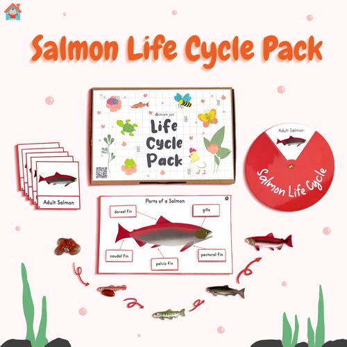 Jual Salmon Life Cycle Pack Learning Kit Montessori Daur Hidup Ikan ...