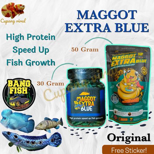 Jual Maggot EXTRA BLUE Bang Fish Aquatic Tinggi Protein Channa Blue ...
