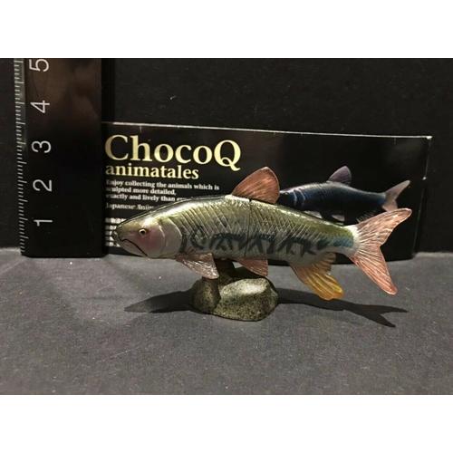 Jual Kaiyodo Animatales Choco Q Series 6 Triplelip Fish Figure - Kota Surabaya - crazyhobbystore ...