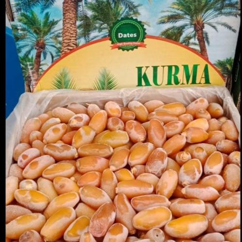 Jual RUTHOB LIBYA ORIGINAL / KURMA MUDA KEMASAN 250g - 100g - Kab ...