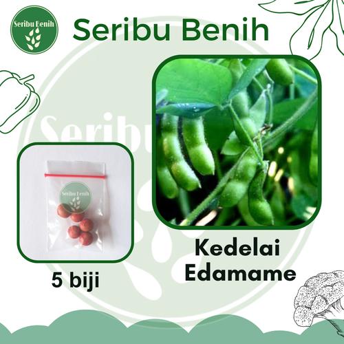 Promo 5 Benih Kedelai Edamame Super Ryoko 75 - Bibit Sayuran Kacang ...