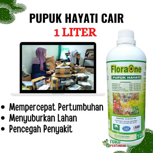 Jual Pupuk hayati obat layu Fusarium, Floraone fungisida harzianum cair - Kab. Kebumen - PUSAT ...