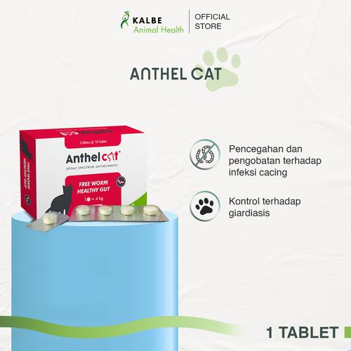 Promo Anthel Cat 1 Tablet - Obat Cacing Kucing by Kalbe [ORIGINAL ...
