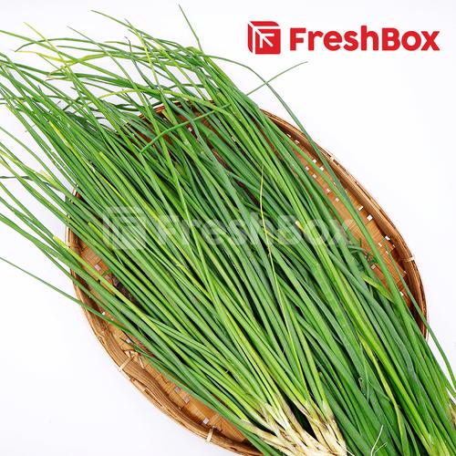 Promo Daun Bawang Cung Wakegi 250 Gram Freshbox - Kota Tangerang ...