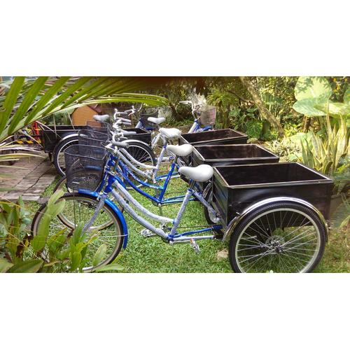 Jual SEPEDA RODA TIGA DEWASA - CARGO BOX TERBUKA - Jakarta Selatan ...