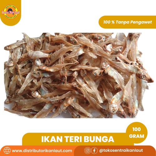 Promo Ikan Teri Bunga Teri Kembang Tawar Kualitas Super 100 Gram ...