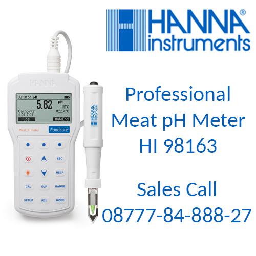 Jual HI 98163 HI98163 Professional meat pH meter daging hanna instrument - Jakarta Utara - Thor ...