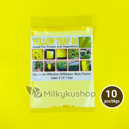 Jual YELLOW TRAP PERANGKAP SERANGGA LALAT TANAMAN LEM KERTAS INSECT ...