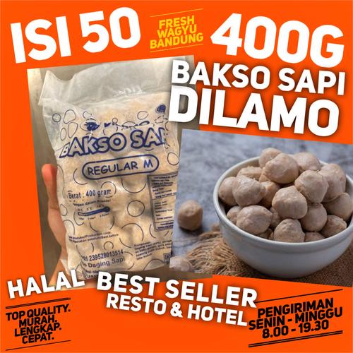 Jual DILAMO BAKSO REGULER M ISI 50 PREMIUM Baso Daging Sapi Halal 400g ...