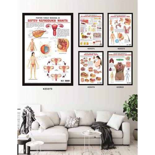 Jual Poster Pendidikan / Kesehatan / sistem reproduksi wanita - 1608 ...