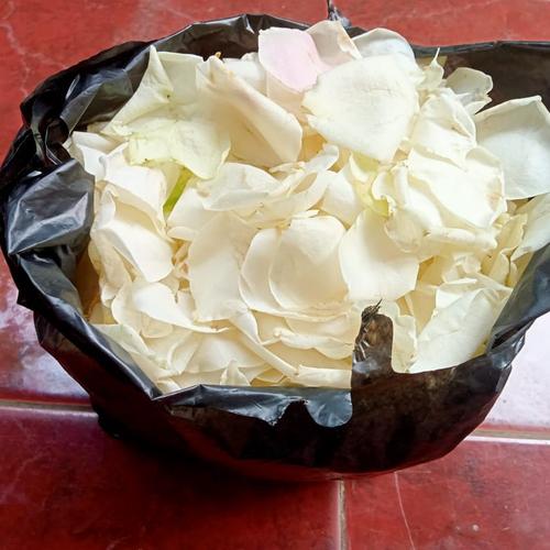 Jual Bunga mawar tabur putih asli segar - Kota Cimahi - tacha florist ...