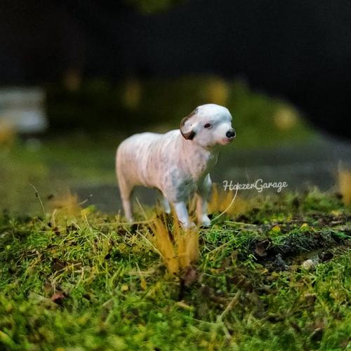 Jual Miniatur Diorama Hewan Peternakan 1/64 Domba no. 1 - Z3D - Kota ...
