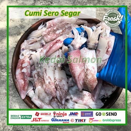 Jual Cumi Sero Segar Seafood 500gr - Cumi Laut UTUH Fresh - Ikan Laut ...