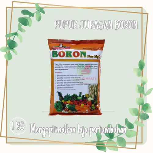 Jual Pupuk BORON PLUS MGO / JURAGAN BORON Micro Fertilizer Untuk ...