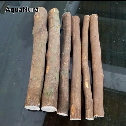 Jual 6 batang kayu rasamala lurus 30cm aquascape aquarium - Kota ...