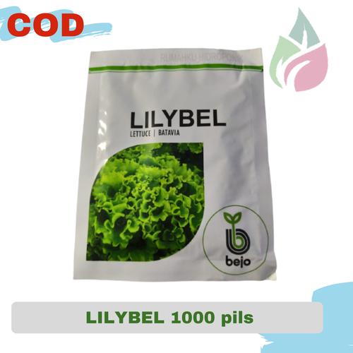 Jual benih selada batavia bejo lilybel 1000 pils - Kab. Banjarnegara ...