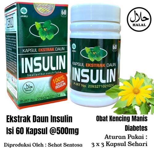 Jual kapsul ekstrak daun insulin diabetes herbal obat insulin isi 60 ...