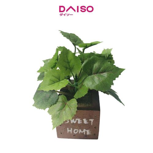 Jual Daiso Planter -Wooden Case- - Jakarta Selatan - Daiso Japan ...