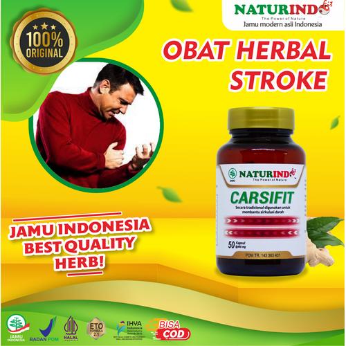 Jual Obat Stroke Herbal Struk Ringan Lumpuh Sebelah Stroke Struke ...