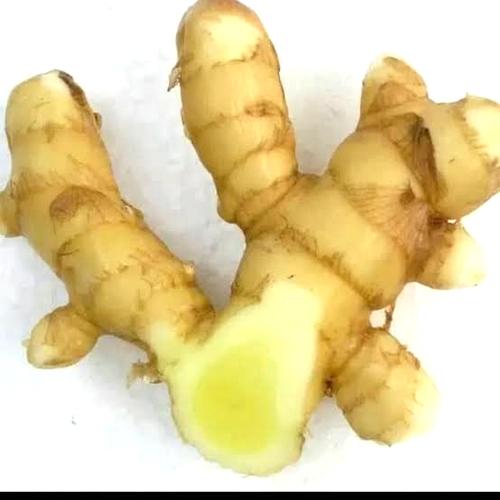 Jual 1kg Kunyit Mangga Segar Temu Mangga Curcuma Mangga 1 kg - Jakarta ...