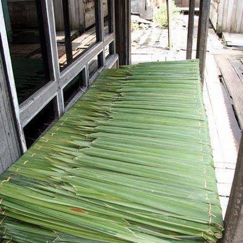 Jual ATAP DAHON 25 LEMBAR~ATAP DAUN RUMBIA per 25 LEMBAR - Jakarta ...