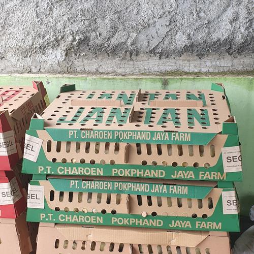 Jual DOC Ayam Pejantan Charoen Pokphand Grade Super - TRUCK EKSPEDISI ...