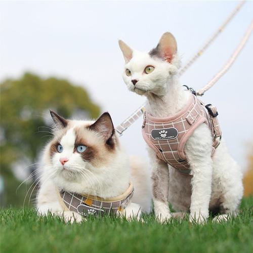 Jual Harness Anjing Kucing Tali Tuntun Hewan Bahan Mesh Lembut Pet ...