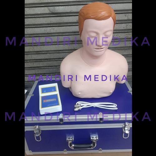 Jual Alat Peraga Manekin Basic CPR Half Body Phantom CPR Guan Long ...