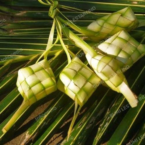 Jual Daun Janur Kuning Kelapa Muda - 5 Lembar - Jakarta Utara - BUMI ...