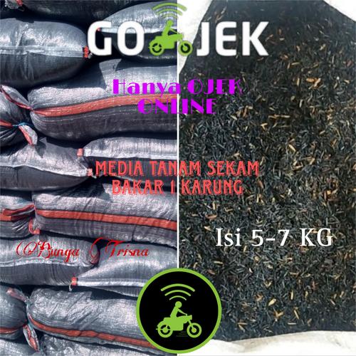 Jual Media tanam sekam bakar karungan / sekam bakar padi - Jakarta ...
