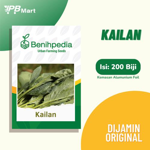 Promo Benih Kailan / Kai-lan / Kaelan / Chinese Kale == Bibit Tanaman ...