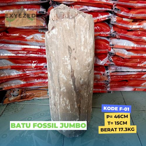 Jual Batu Fosil Jumbo Untuk Taman - Kota Tangerang Selatan - exyezed ...