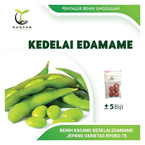Jual 5 Benih Kedelai Edamame Super Bibit Sayuran Ryoko 75 Kacang Jepang ...